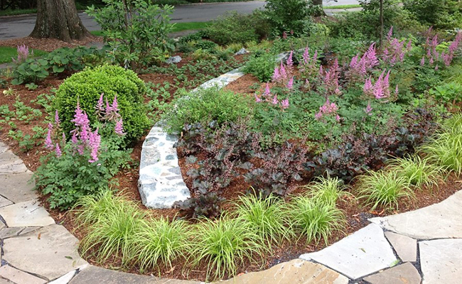 Conservation Landscape, RainScapes, DEP,Montgomery County Government, MD