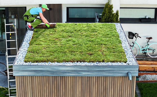 Green Roof, RainScapes, DEP, Montgomery County Government, MD