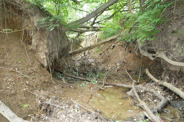 Stream Restoration, DEP, Montgomery County Government, MD