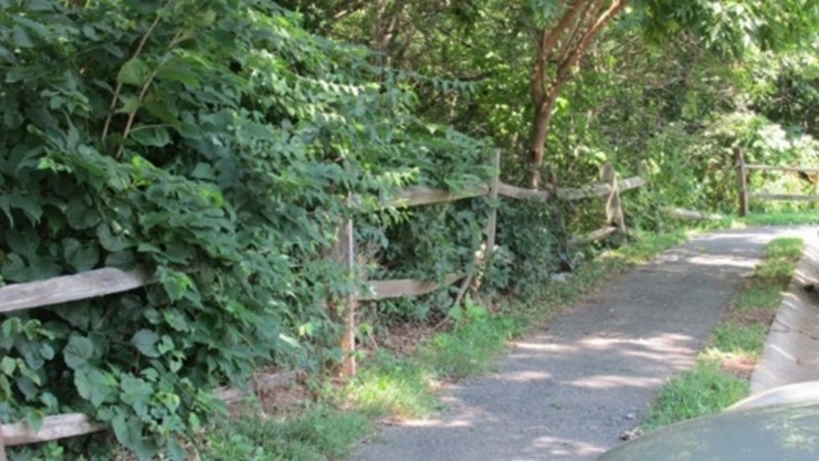 Neighborhood > South Village/Montgomery Village FNA Project | DHCA