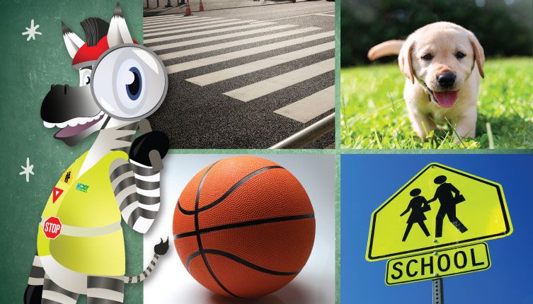 Thursday - Safety Week