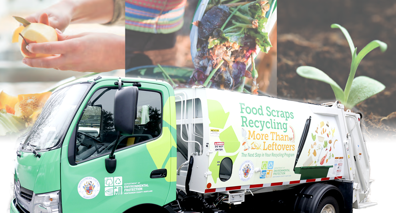 Montgomery County Maryland