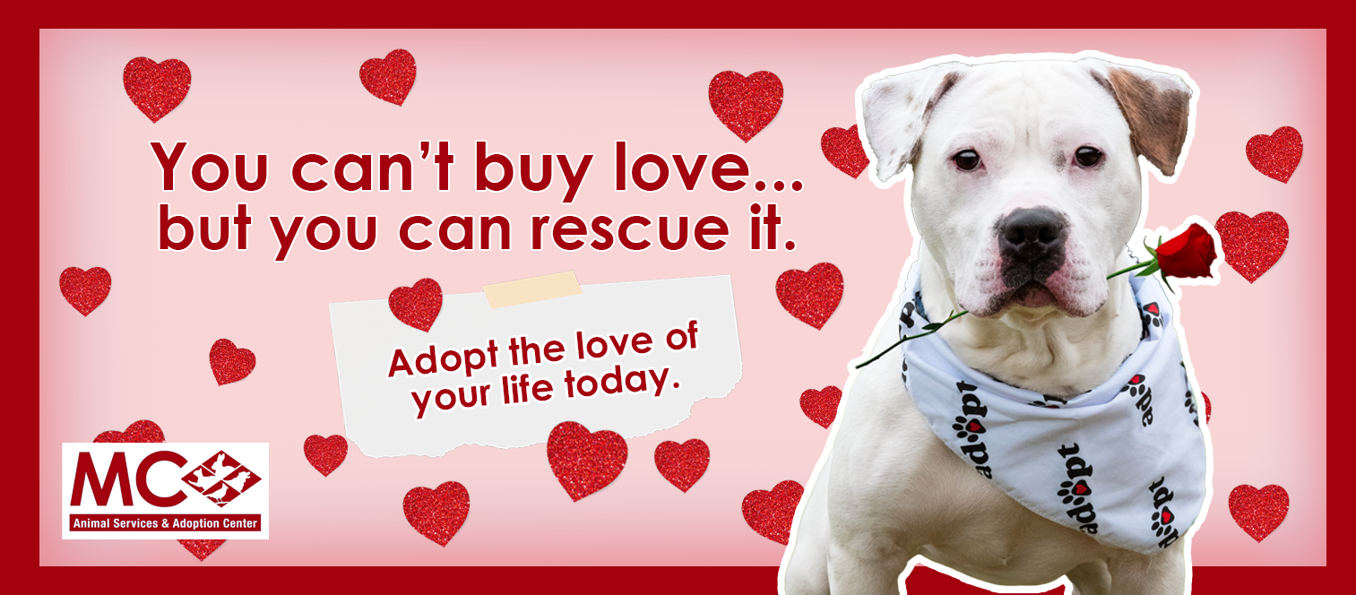 Montgomery County Animal Services & Adoption Center