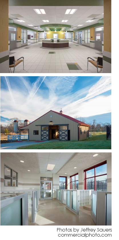 Montgomery County Maryland Pet Licensing - smallbusinessinternet