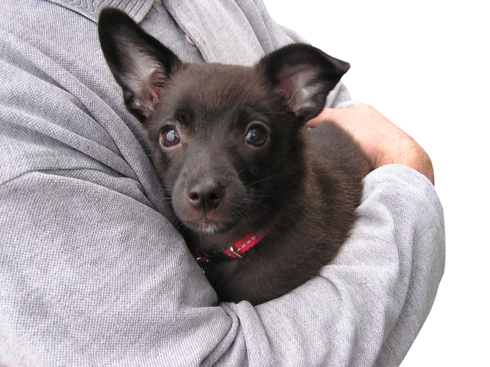 perfectmaster - Blog