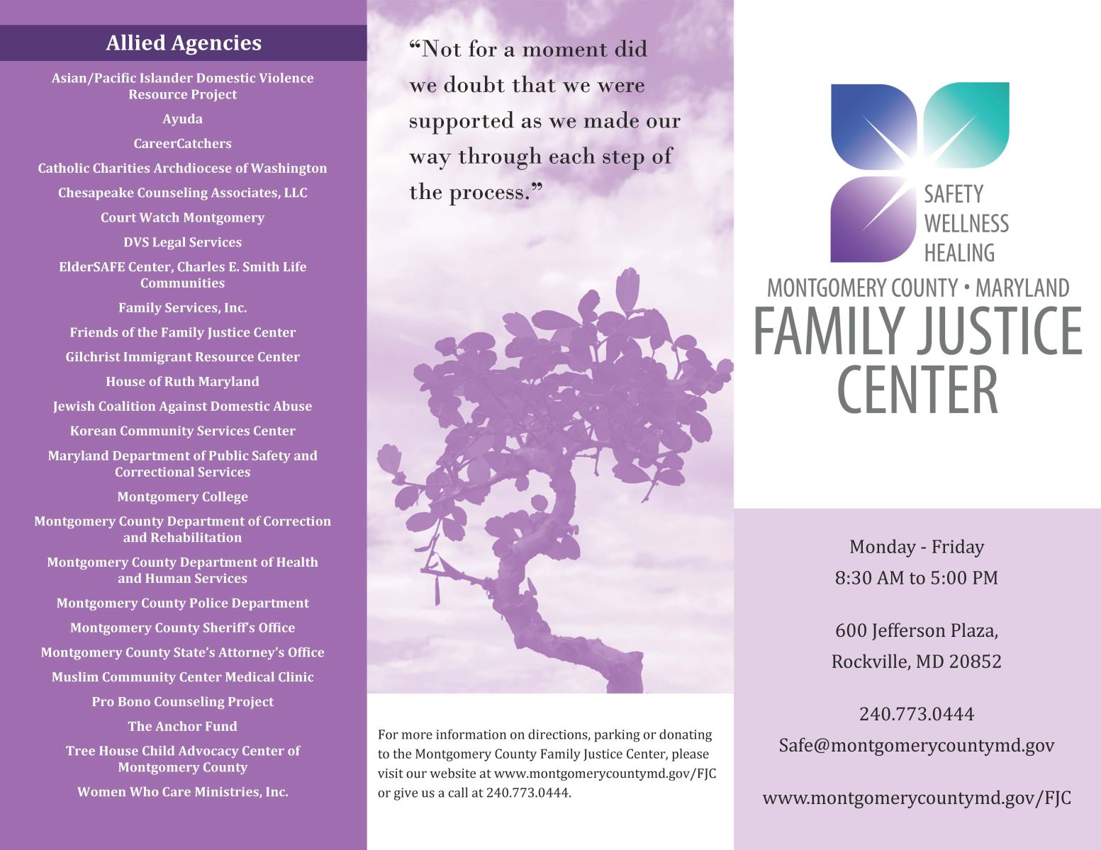 Brochures and Other Outreach Materials